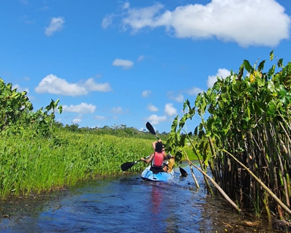 Crique Gabriel en pirogue - T'Air Nature Guyane
